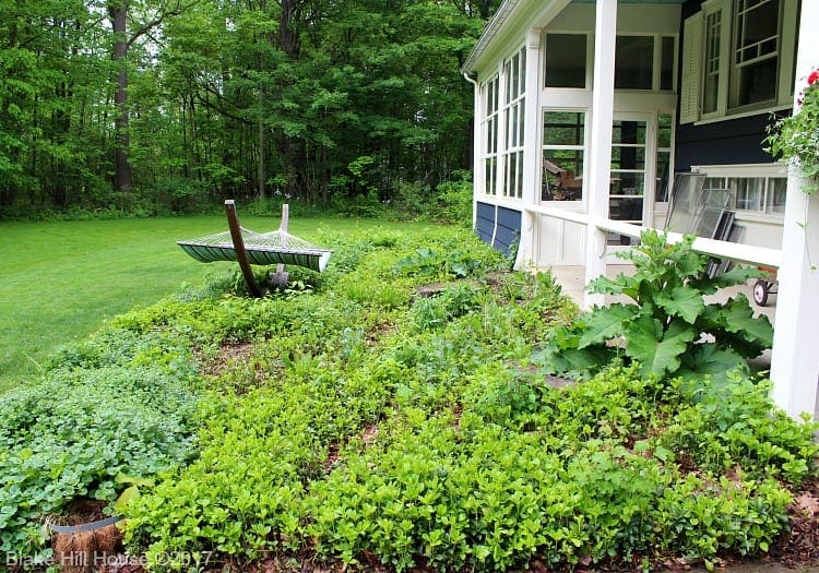 The Great Big Outdoor Drainage & Landscaping Project - Blake Hill House
